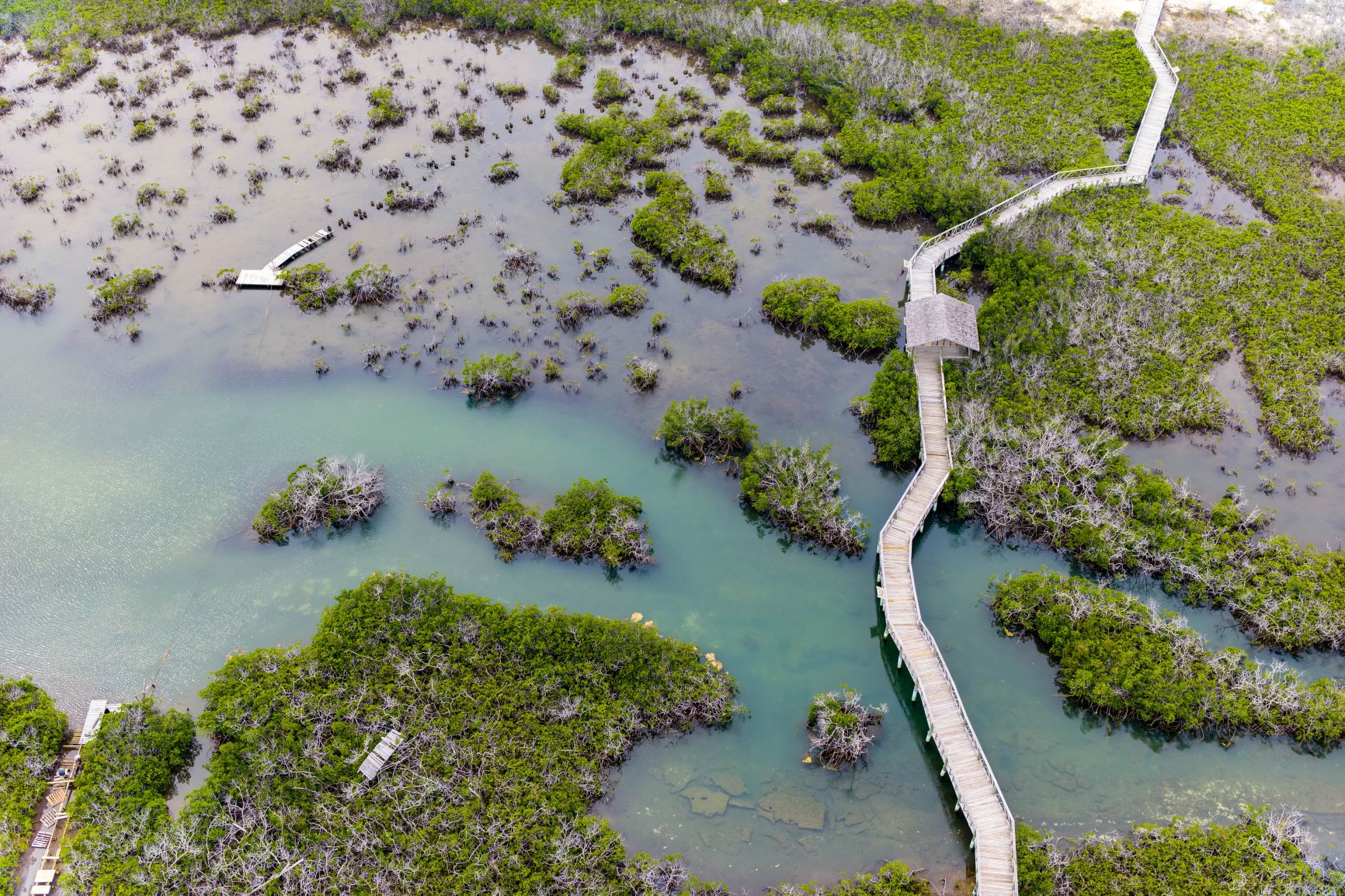 Perry Institute receives grant to assess, restore damaged ecosystem ...