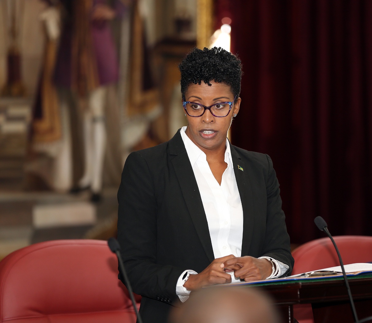 Senate Passes Bills - ZNS BAHAMAS