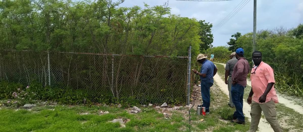 Government moving on pledge to achieve 30 percent conversion to ...