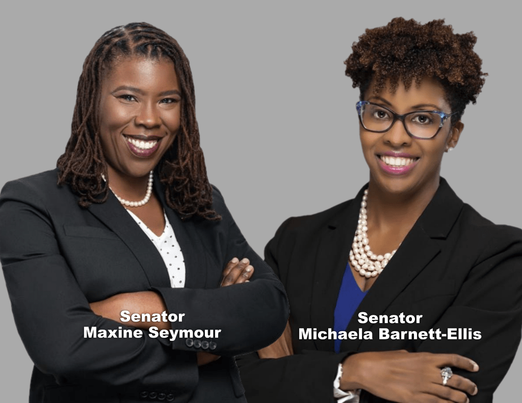 Senators Seymour And Barnett-Ellis Speak On Death Of Four Year Old ...