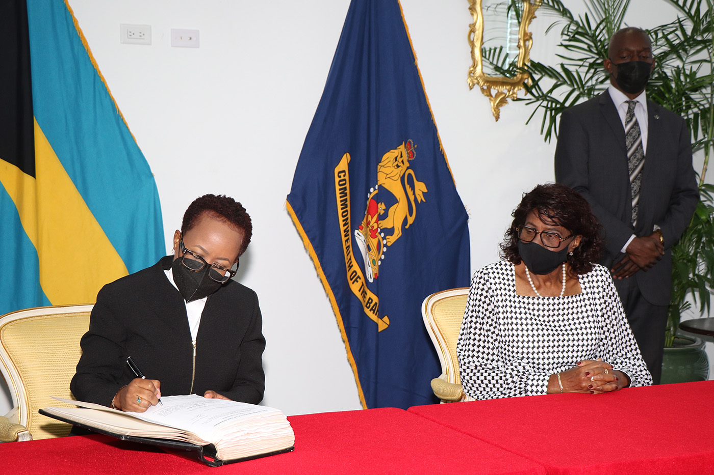 Ntshonda Tynes, sworn in as Acting Justice of the Supreme Court - ZNS ...