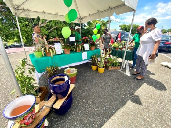 Min. of Health and Wellness holds mini health fair and exhibition - ZNS ...