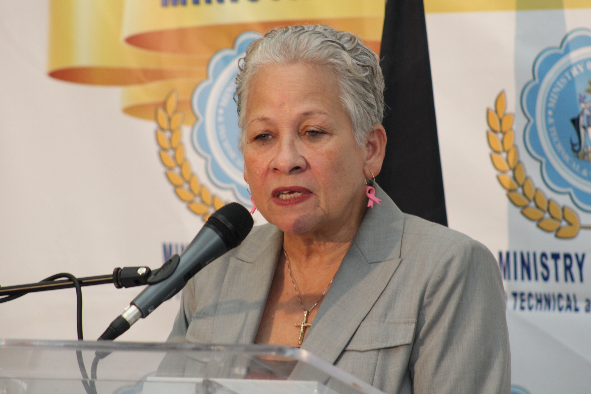 Caribbean Union Of Teachers Executive Meeting - ZNS BAHAMAS