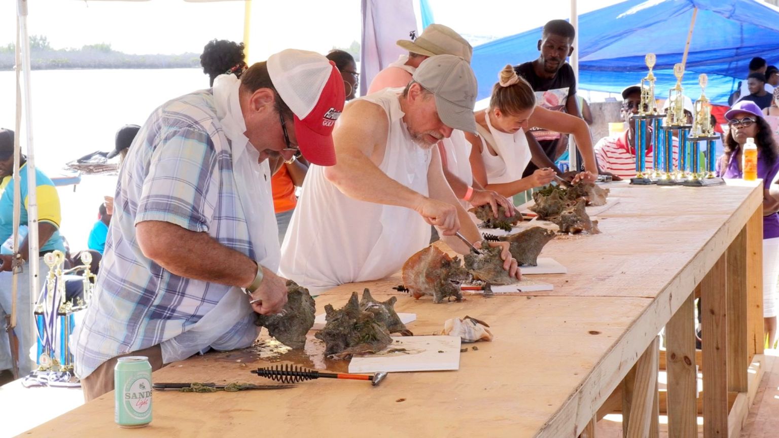 Conch Cracking Returns in Grand Style to Grand Bahama with 50th Annual ...
