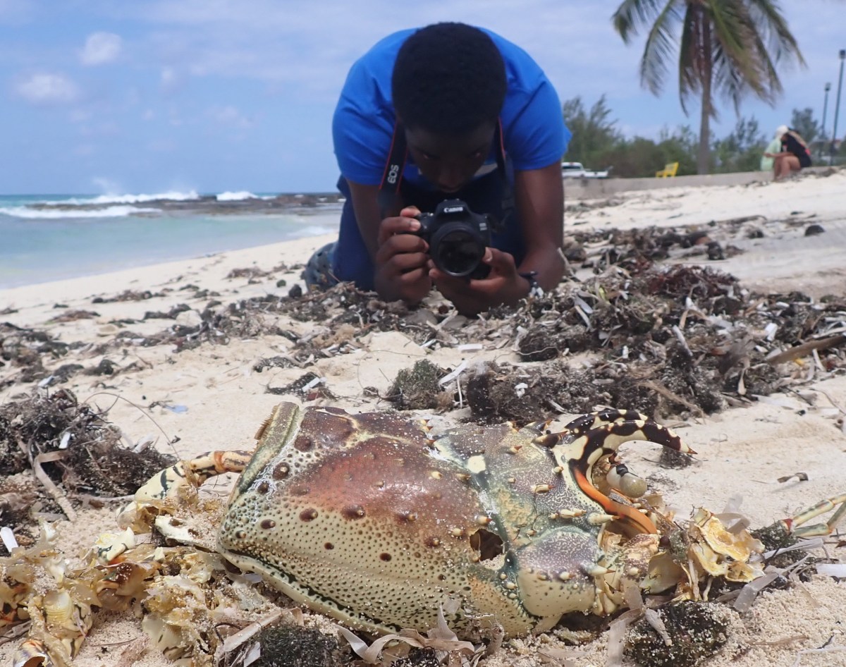 Students Expose Marine Pollution during BREEF’s Photojournalism ...