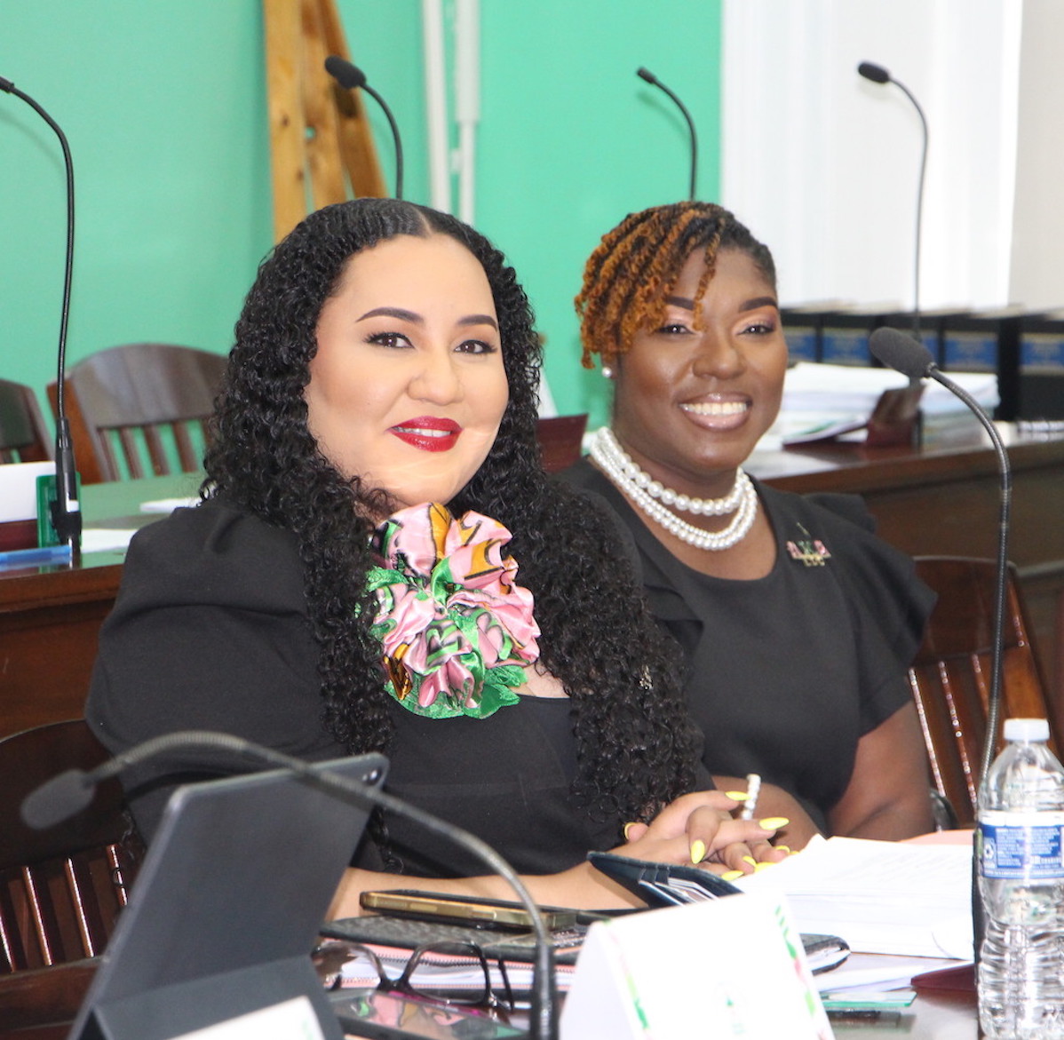 AKA's hold a Mock Parliament - ZNS BAHAMAS