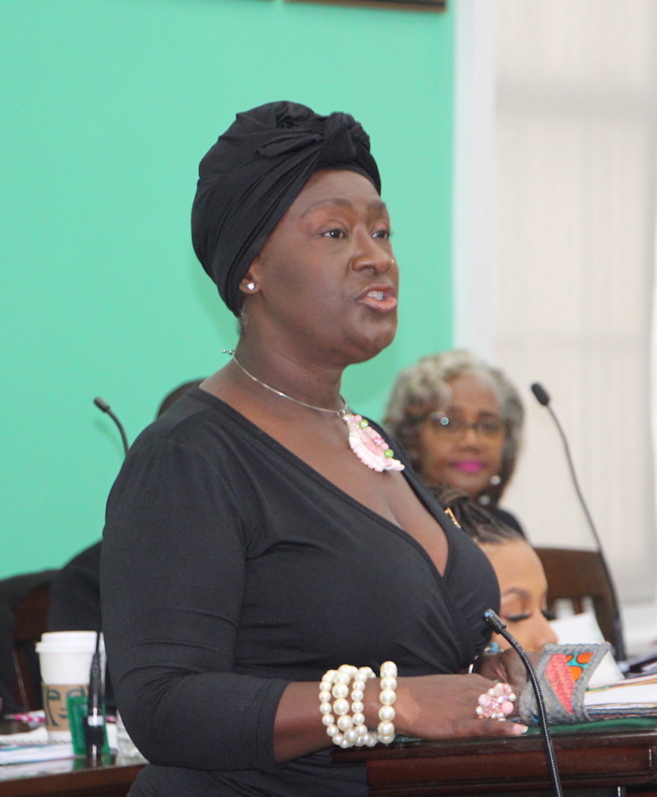 AKA's hold a Mock Parliament - ZNS BAHAMAS