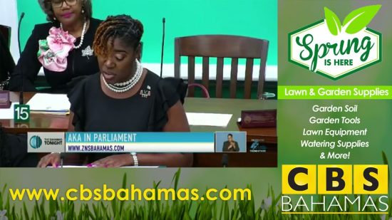 AKA In Parliament - ZNS BAHAMAS