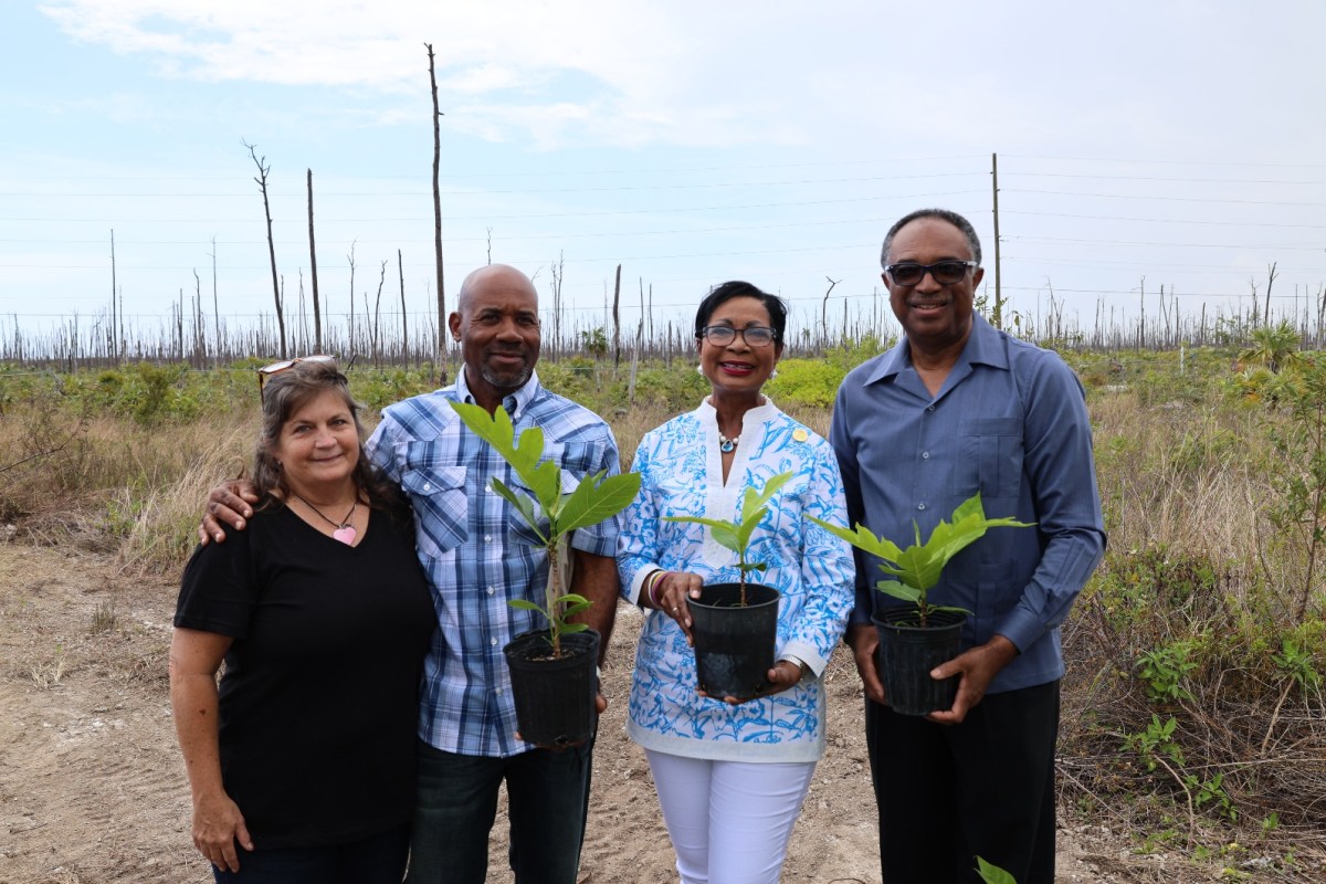 Mrs. Ann Davis Donates 50 Breadfruit Trees - ZNS BAHAMAS