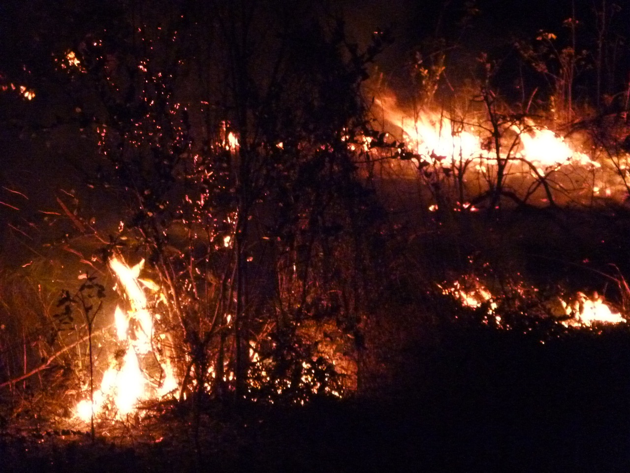 Wildfire Threatens Homes In Imperial Park - ZNS BAHAMAS