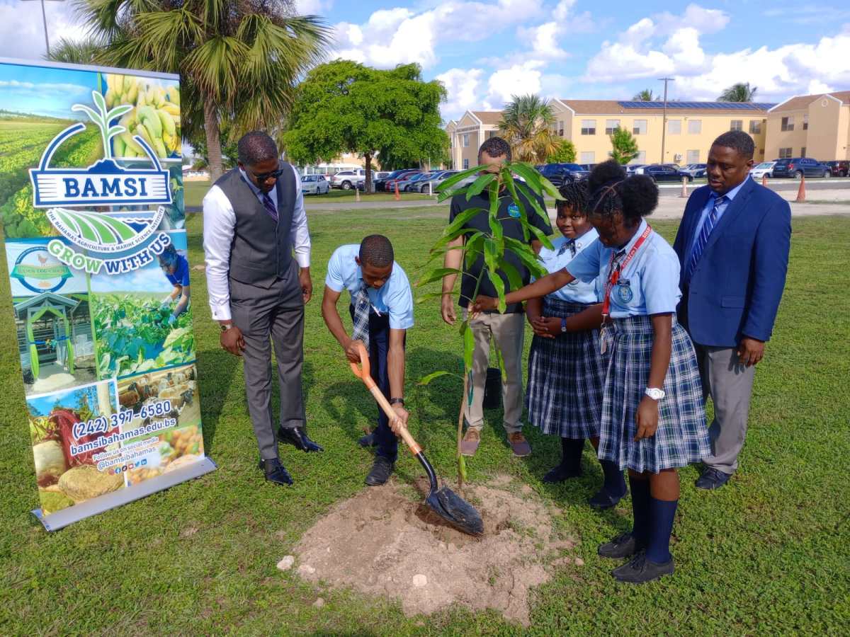 BAMSI Begins Tree Plantings on the Campuses of Public Schools As Part ...