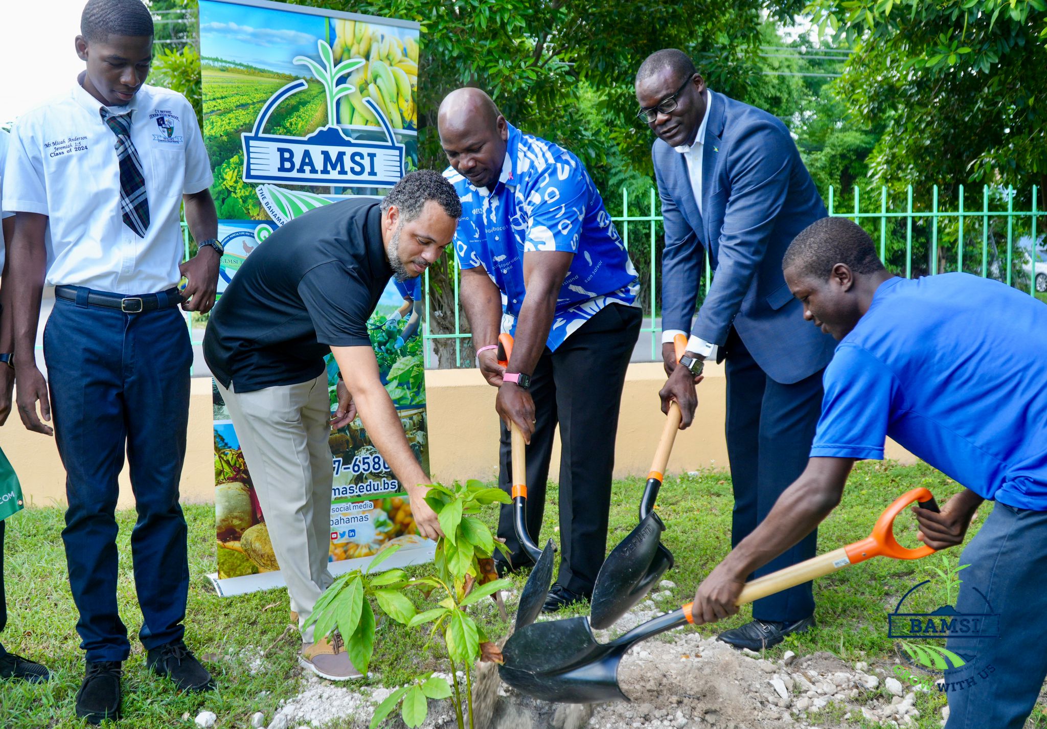 BAMSI launches One 2 One Tree Planting campaign - ZNS BAHAMAS