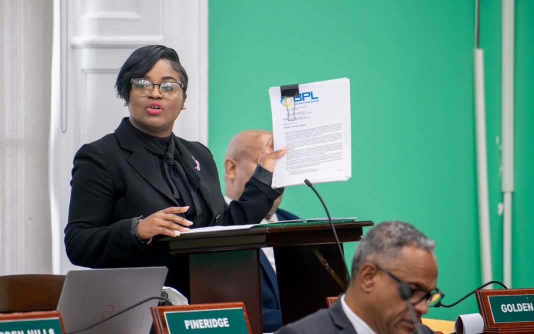 Energy and Transport Minister presents goals during the House of ...