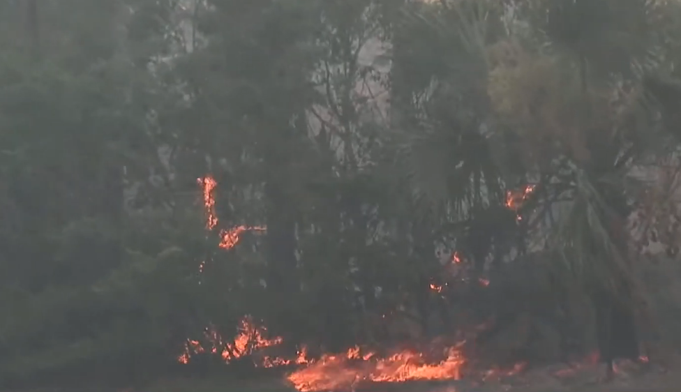 Suspicious Fires In Grand Bahama: Arson Suspected Police Investigate ...