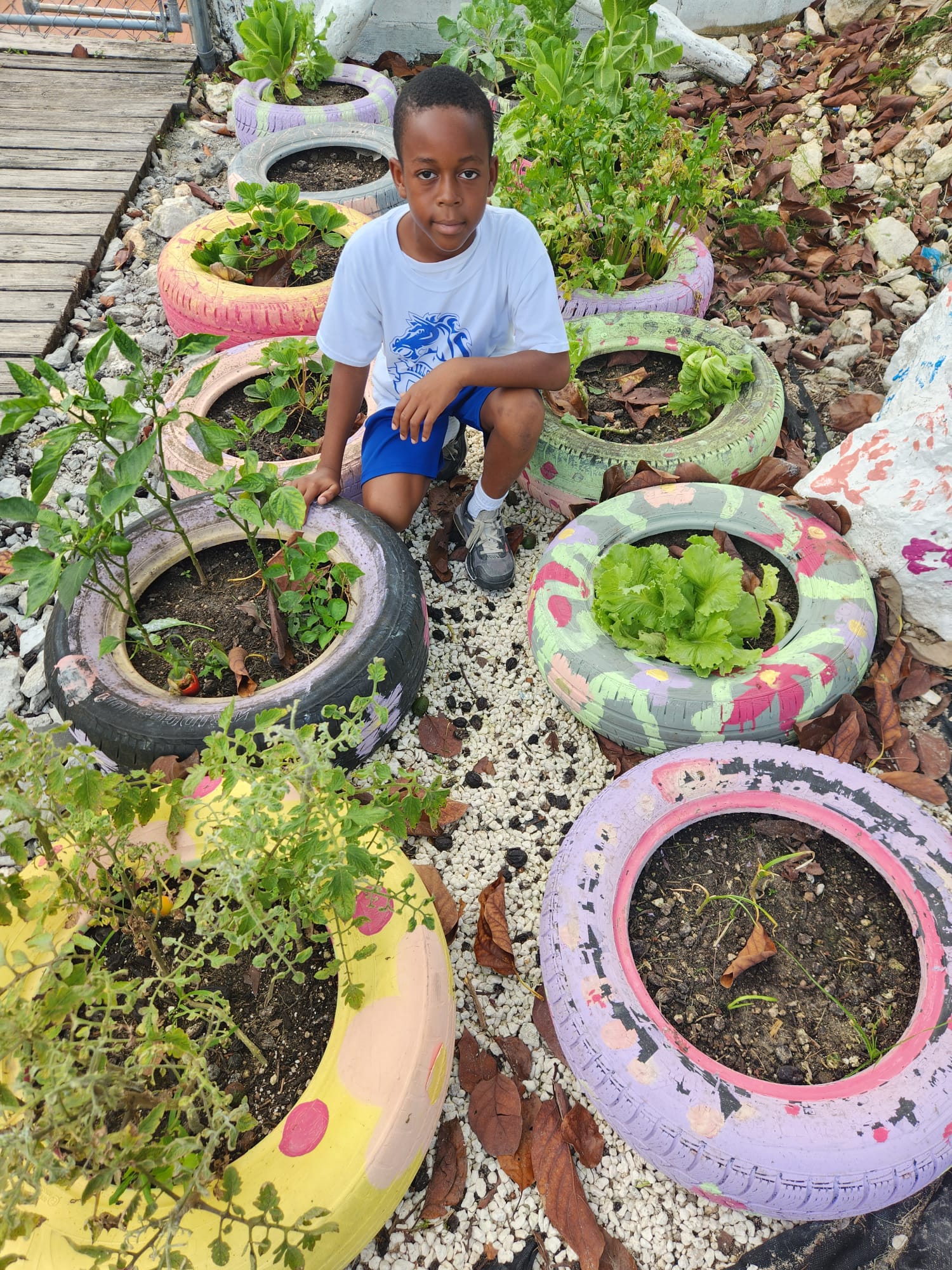 Hillcrest Academy Awarded First Green Flag - ZNS BAHAMAS