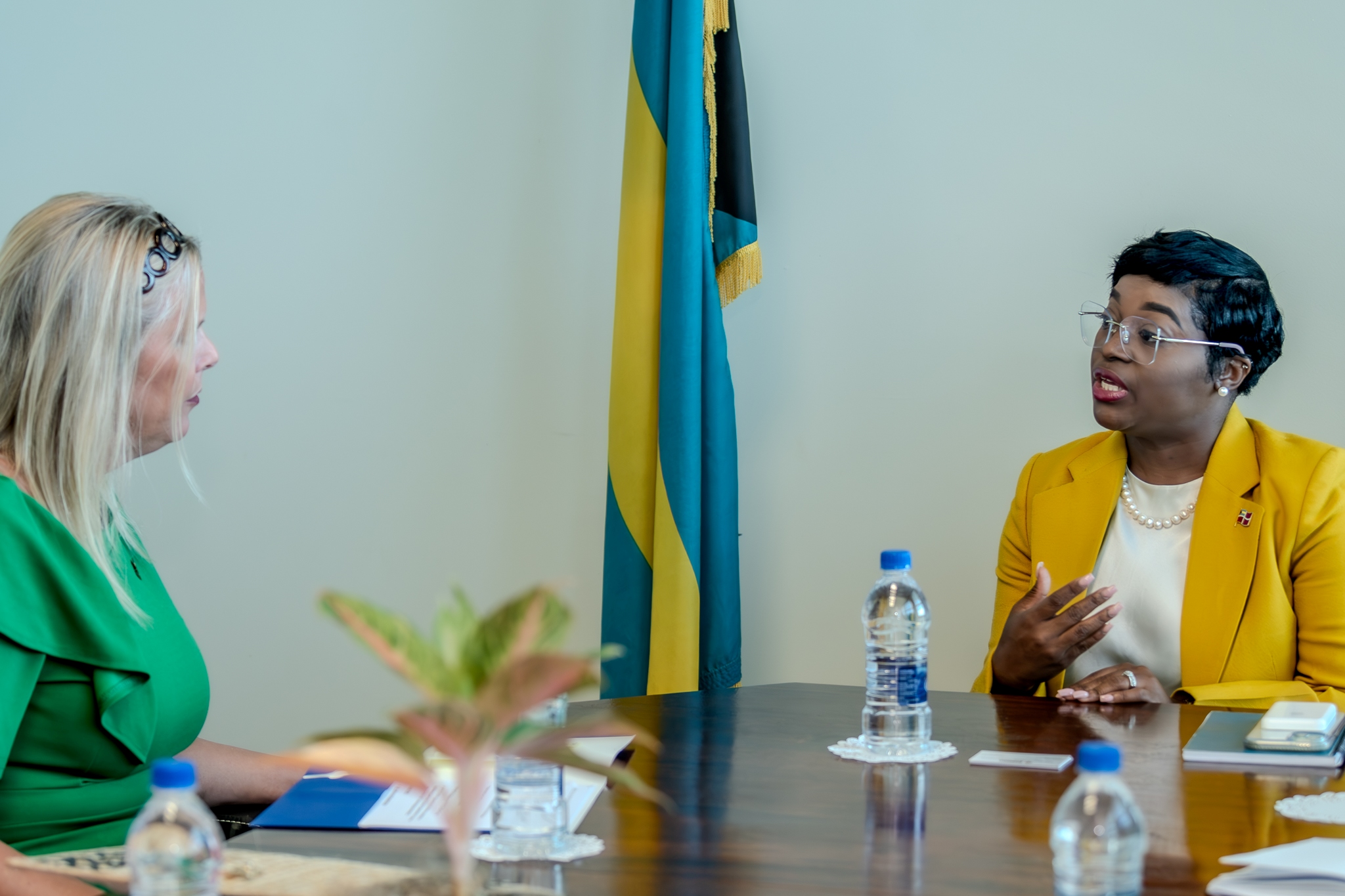US Embassy Charge d'Affaires pays a courtesy call on Minister of Energy ...
