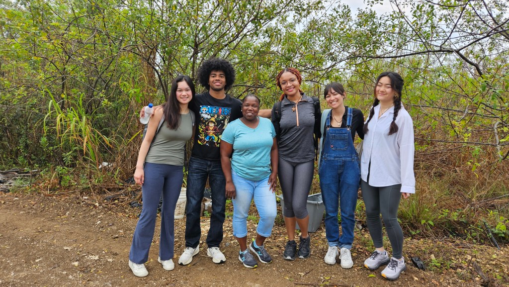 Sustainable Agriculture Takes Root in Andros Through BAMSI-ledRenewable ...