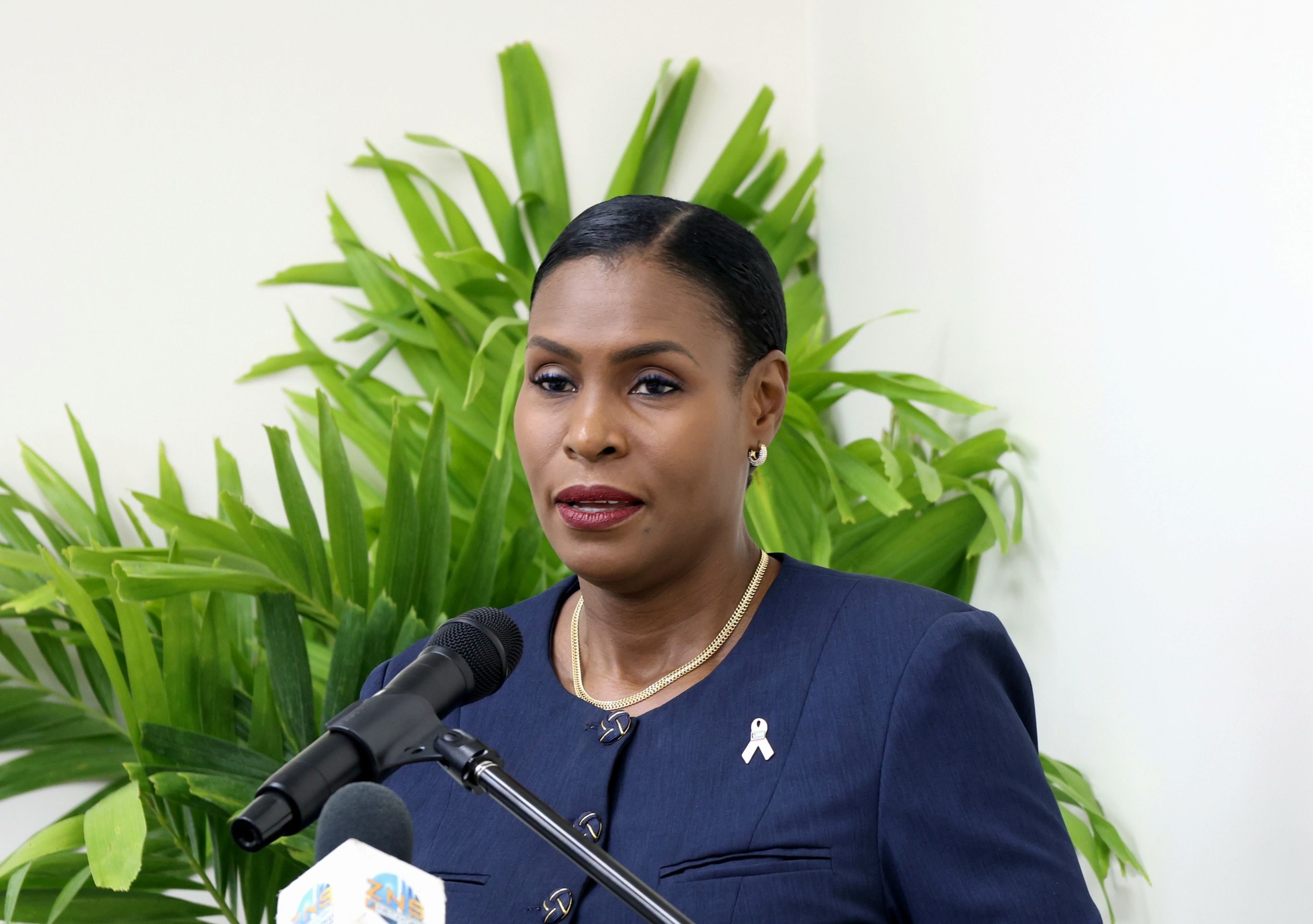 Public Service Promotions Update - ZNS BAHAMAS